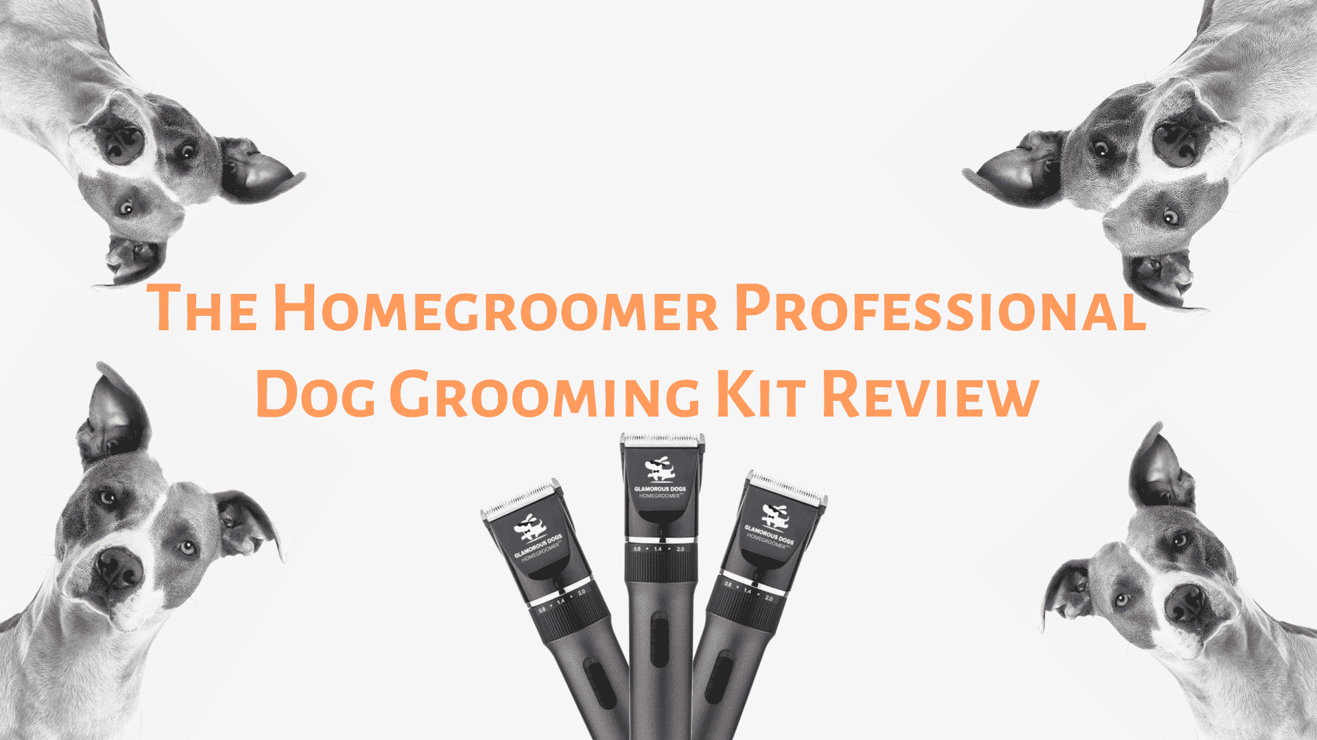 The Homegroomer Professional Dog Grooming Kit Review | Glamorous Dogs